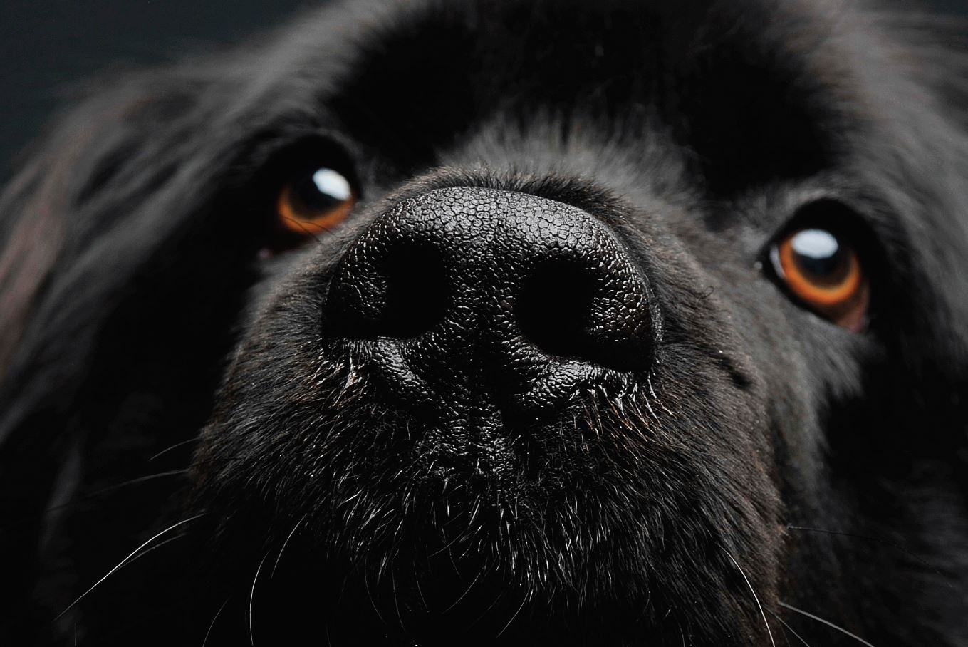 Resource Hub | ParagonCare